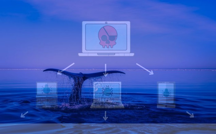 What is "Whaling Attacks"? | ReasonLabs Cyberpedia
